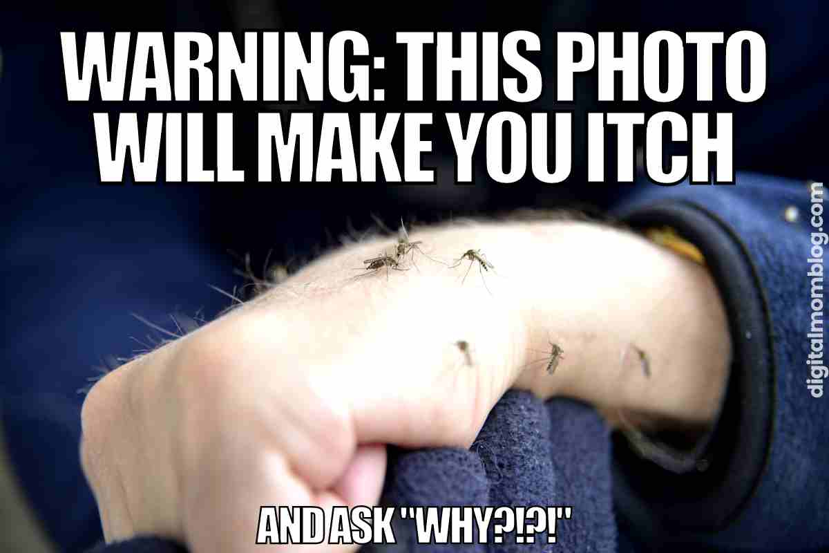 20 Funny Mosquito Memes For Bite Victims