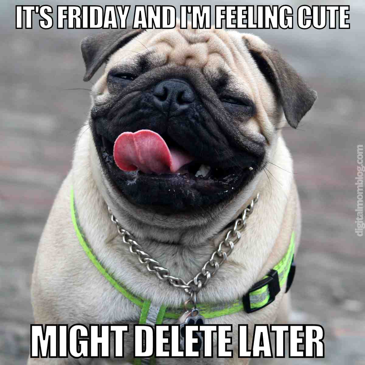 75 Funny Friday Memes That Will Have You Saying TGIF!