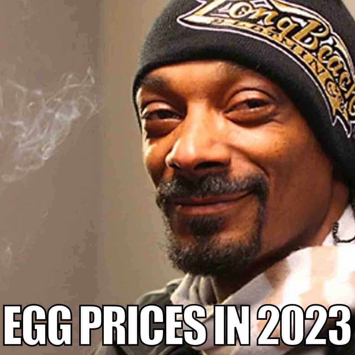 25 Funny Egg Memes About Egg Prices That Will Crack You UP!