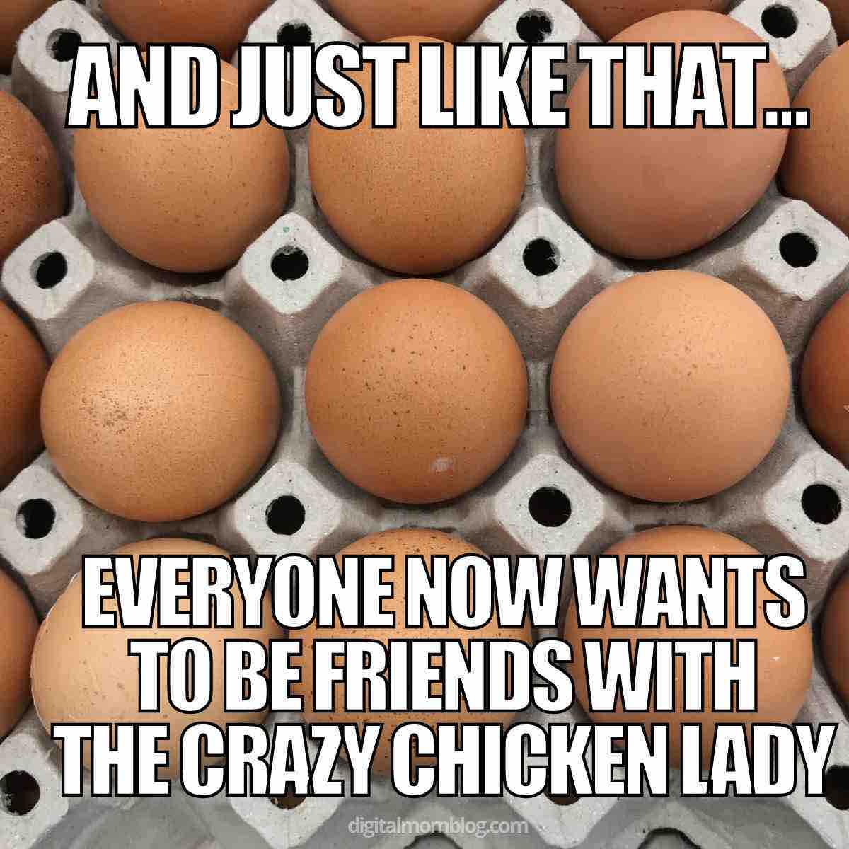 25 Funny Egg Memes About Egg Prices That Will Crack You UP!