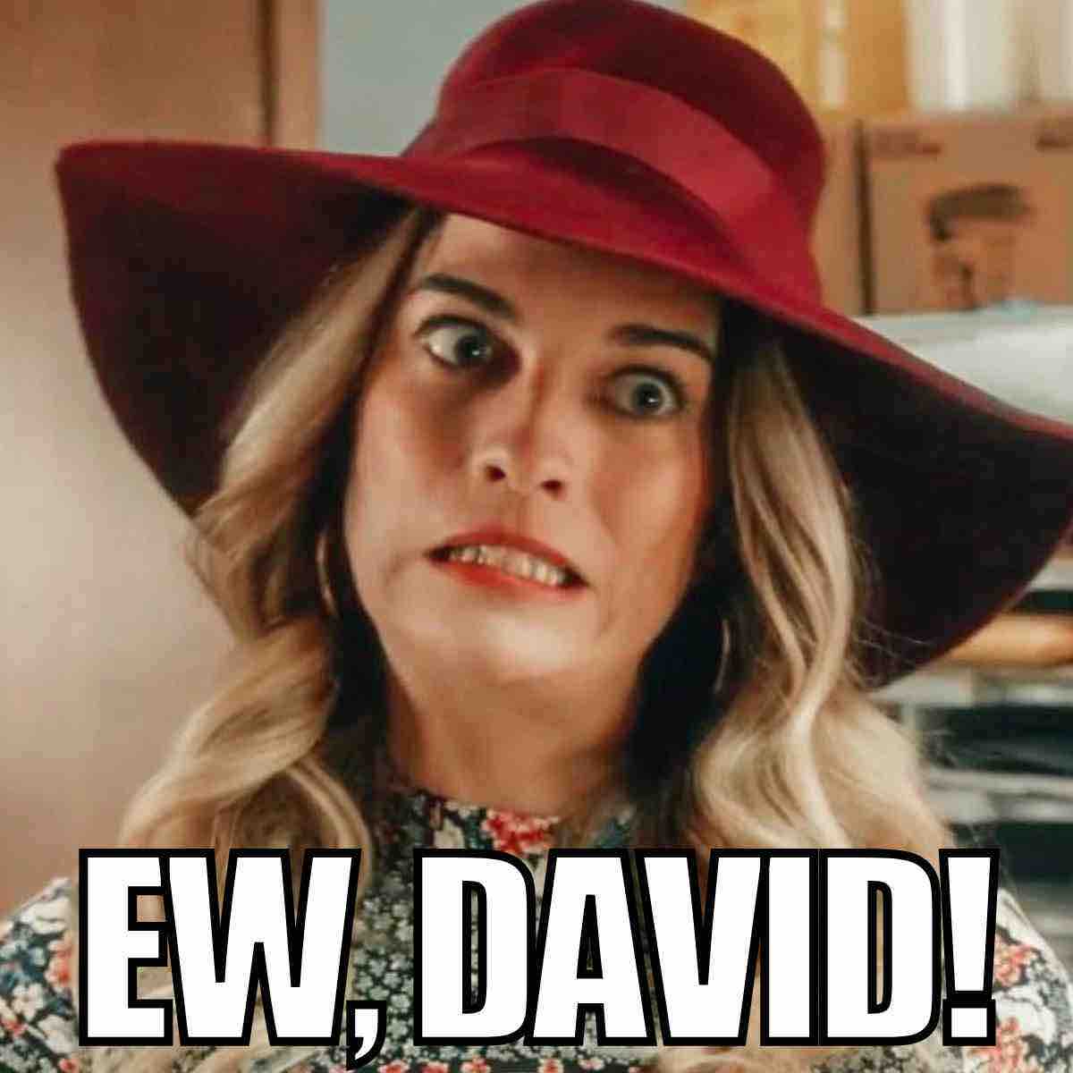 25 Best Schitts Creek Memes That Keep On Giving