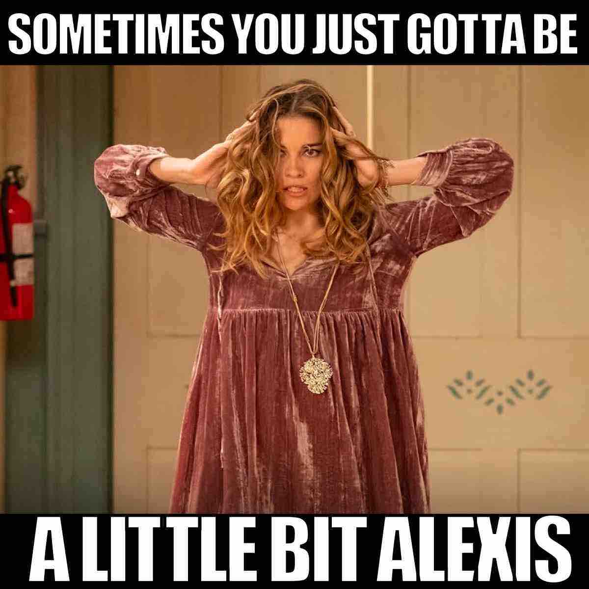 25 Best Schitts Creek Memes That Keep On Giving