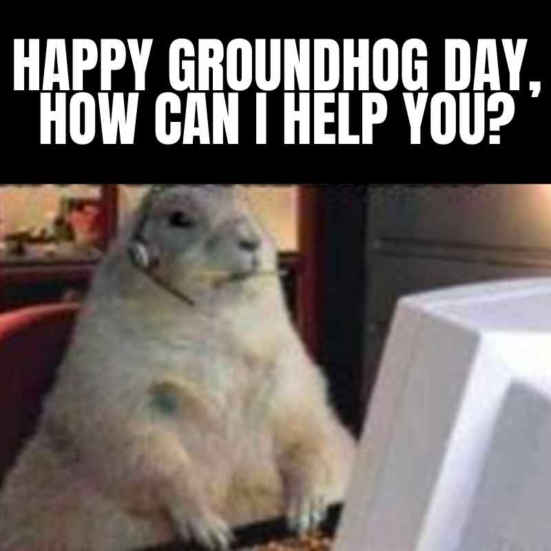 From Shadow To Sunshine: Hilarious Groundhog Day 2024 Memes