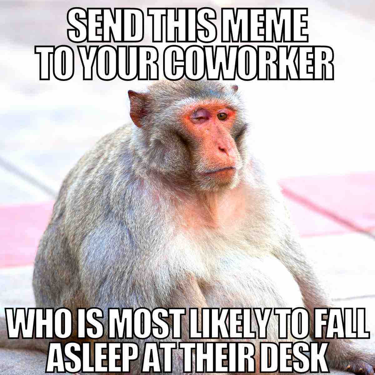 55 Funniest Coworker Memes To Share With Your Office Bestie