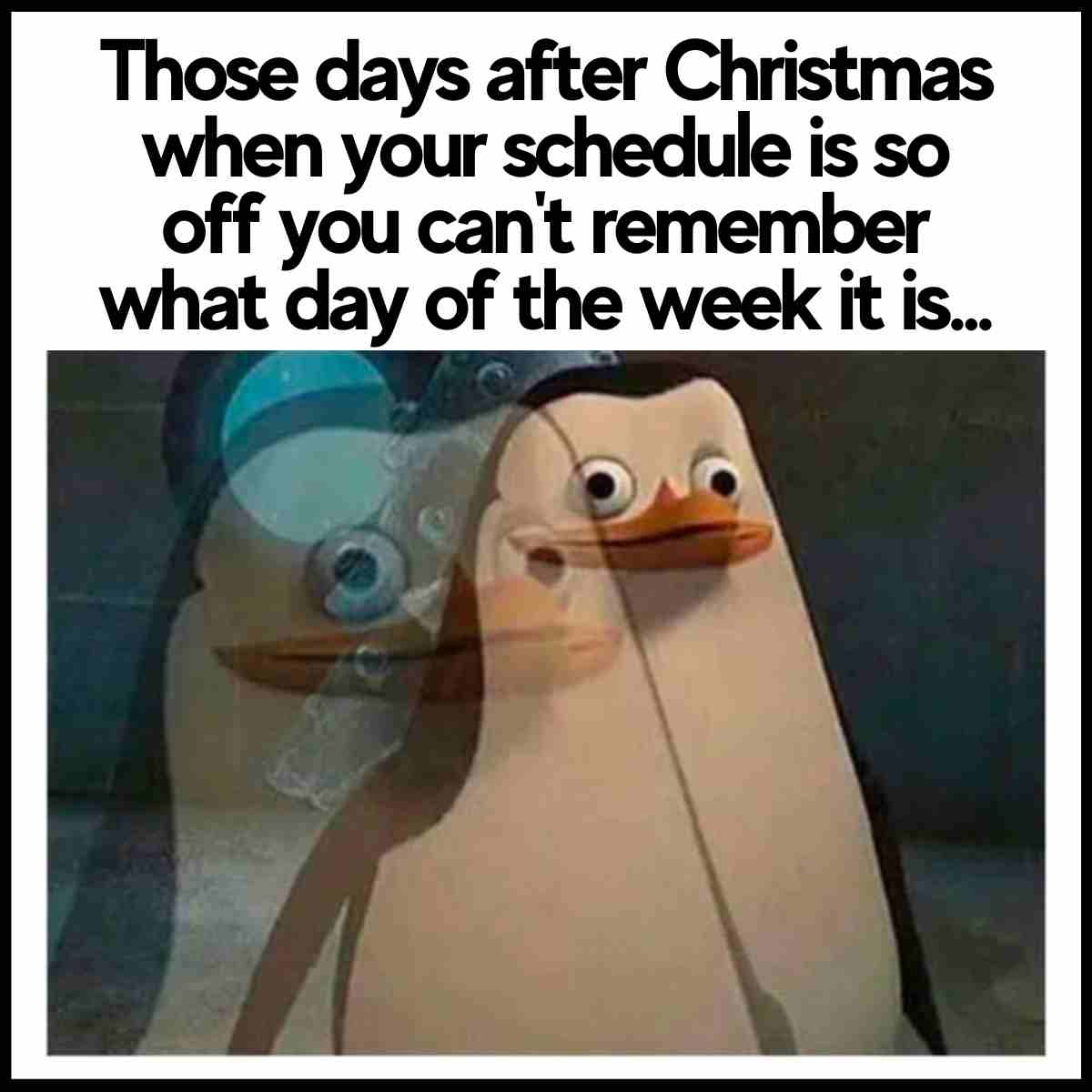 25 Best Happy New Year Memes For 2024