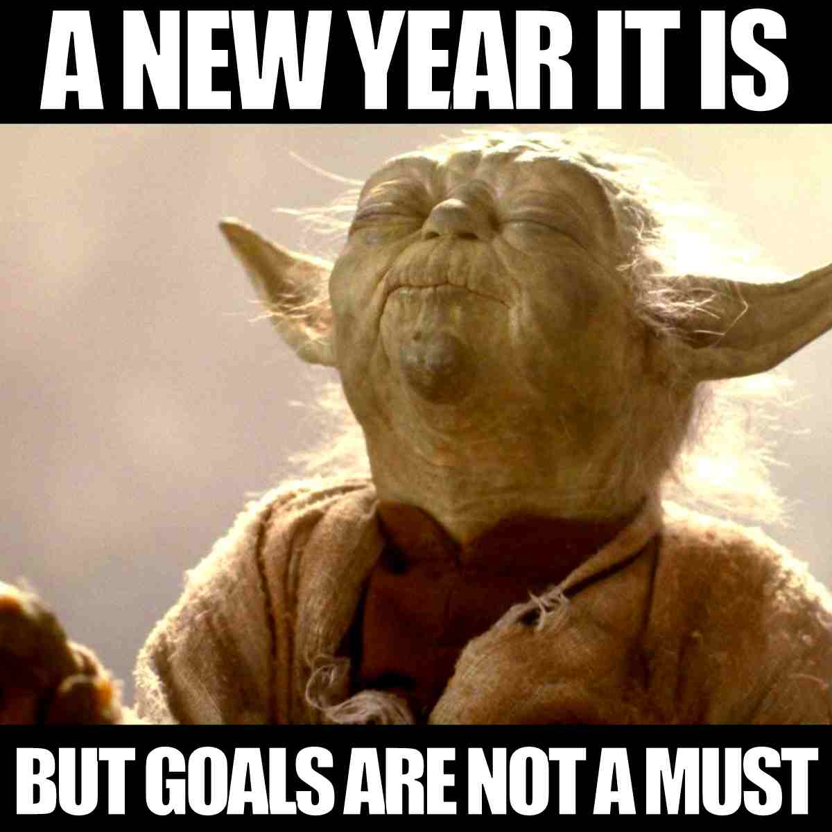 Hilarious New Years Resolution Memes 2024 To Inspire Your Goals