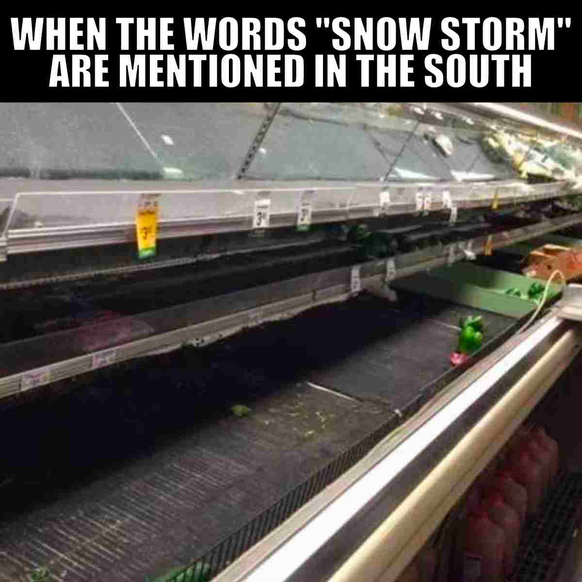 40 Funny Snow Memes That Capture The Frosty Fun