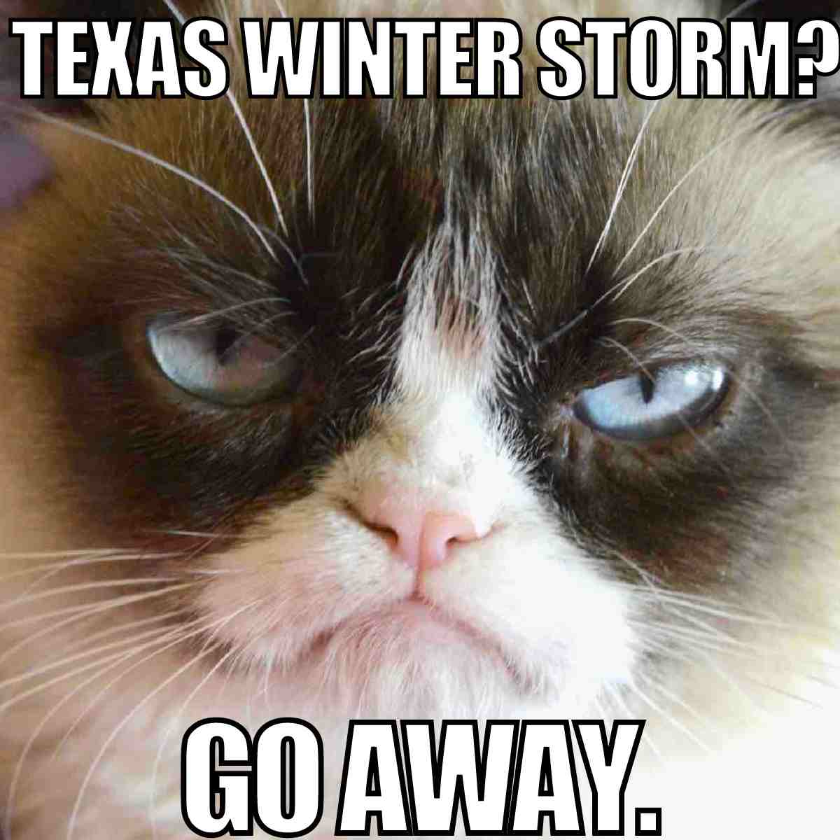 35 Hilarious Texas Winter Memes To Warm Your Heart
