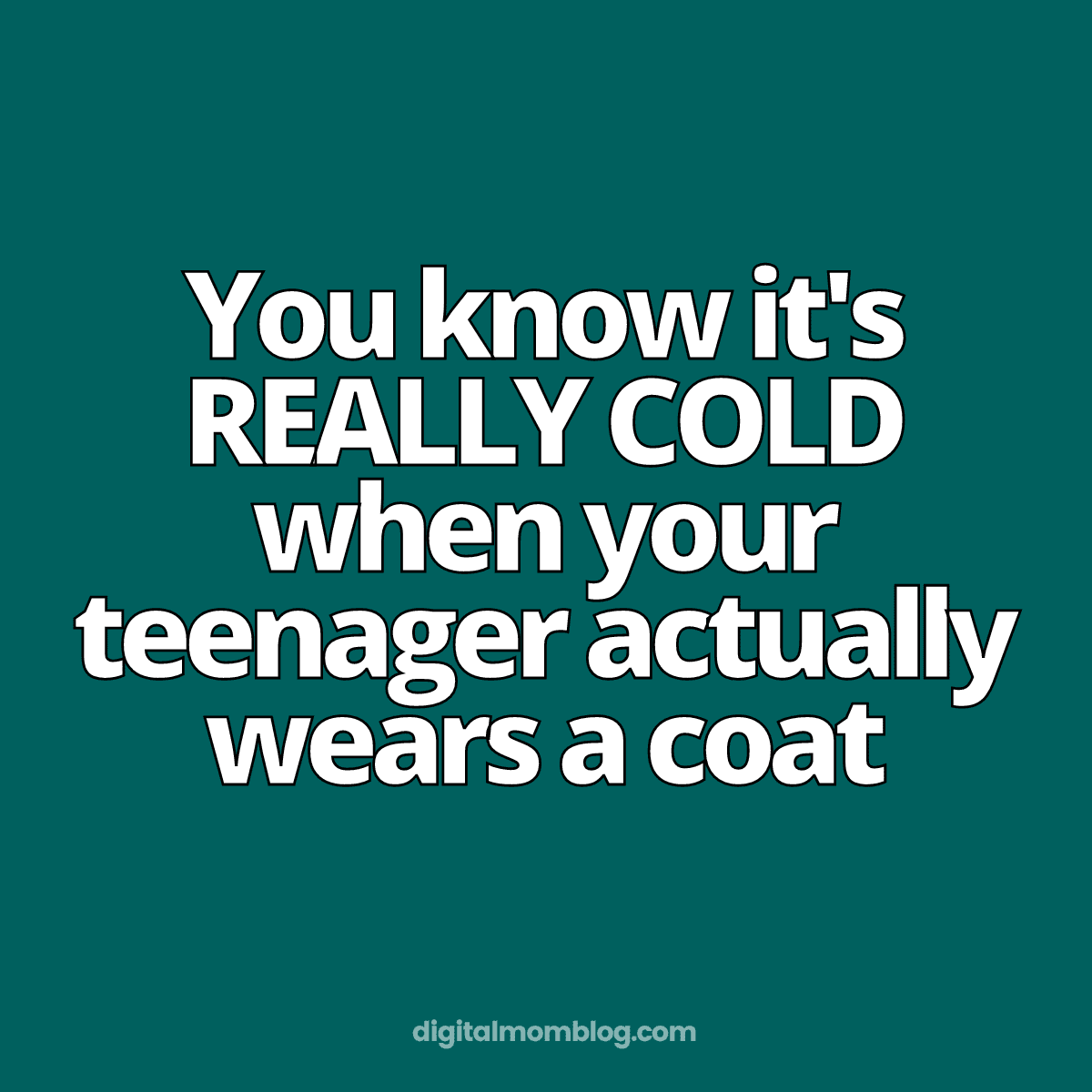 35 Hilarious Texas Winter Memes To Warm Your Heart