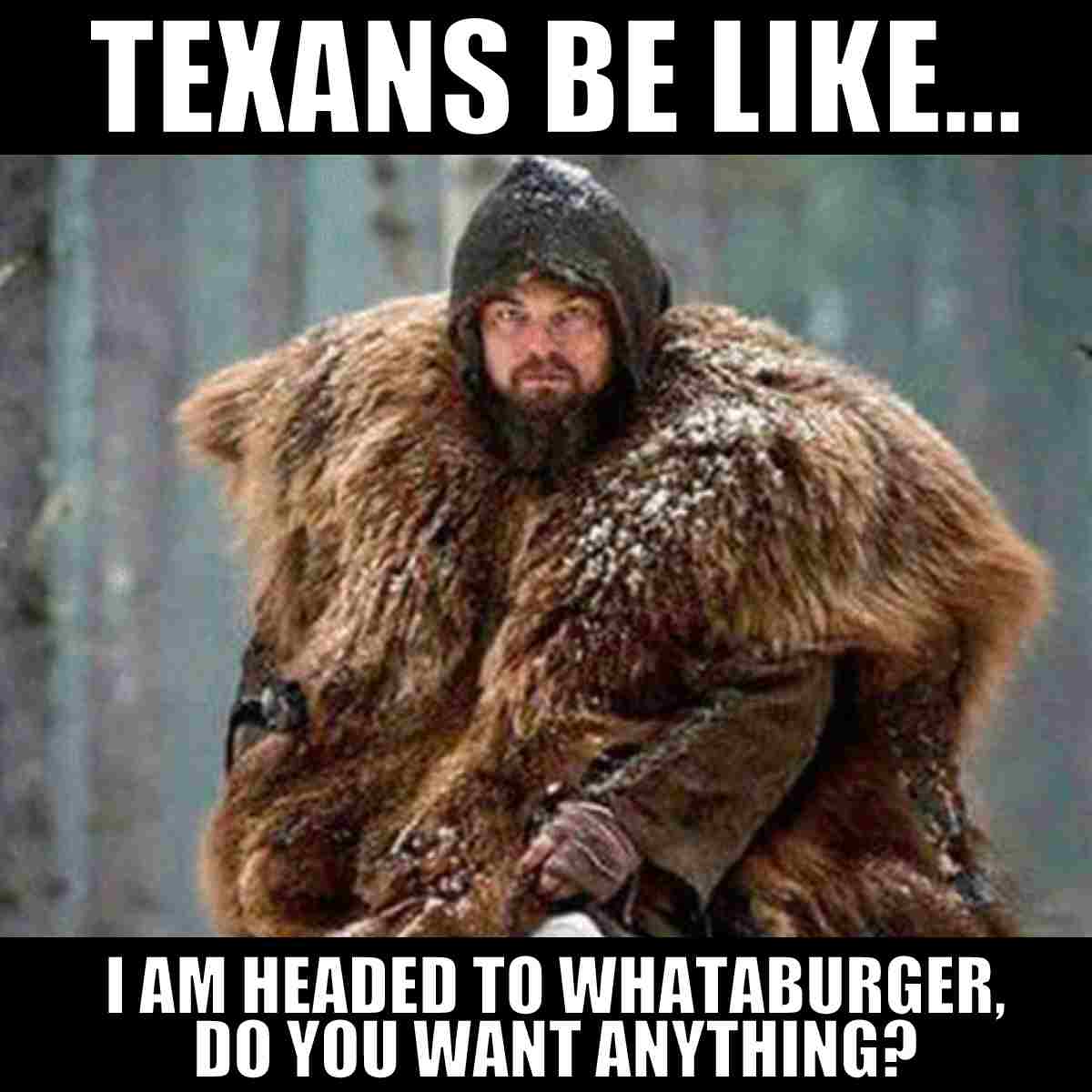 35 Hilarious Texas Winter Memes To Warm Your Heart