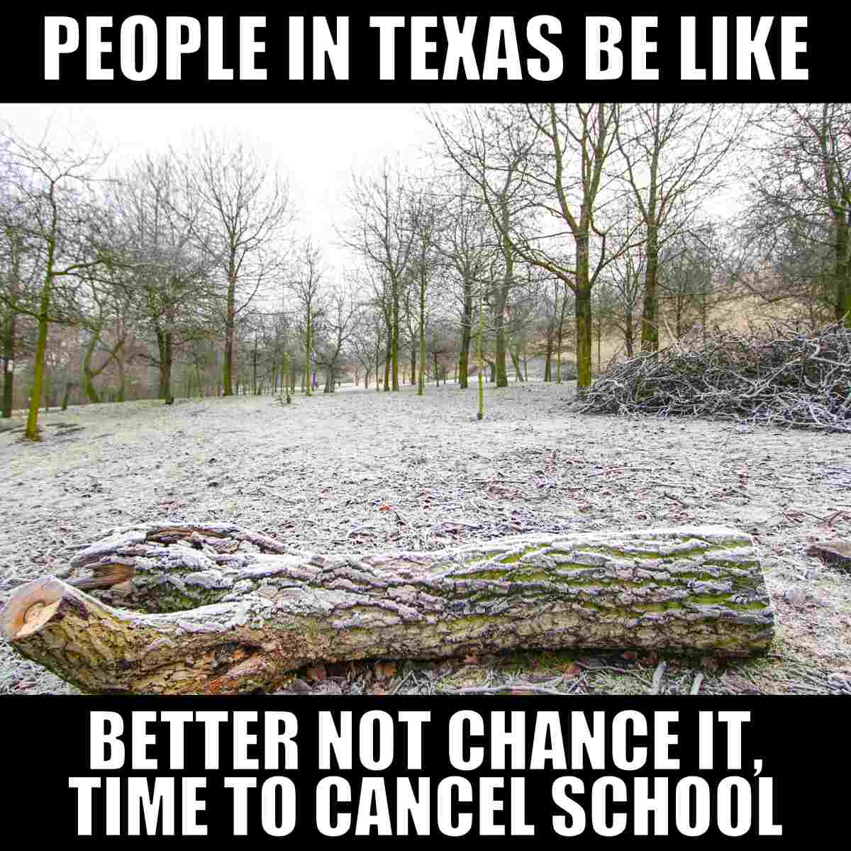 35 Hilarious Texas Winter Memes To Warm Your Heart