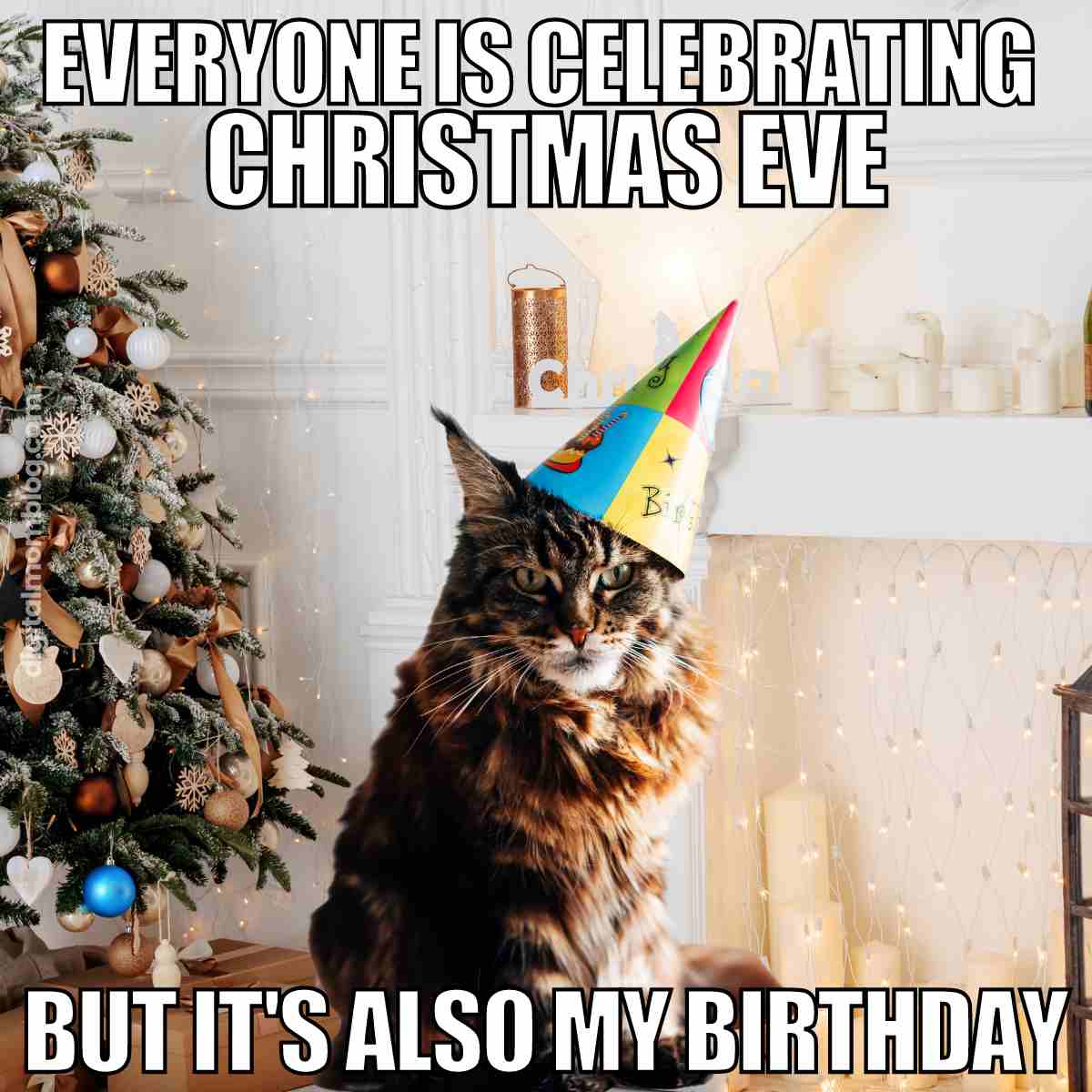 Xmas Birthday Memes Birthday Memes & GIFs Imgflip