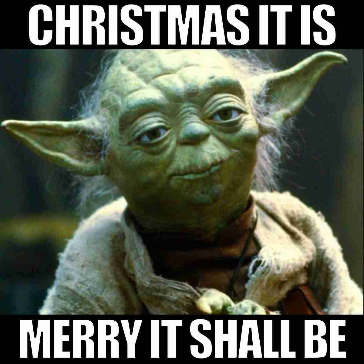 Hilarious Merry Christmas Memes: 50 Cheerful Holiday Images!