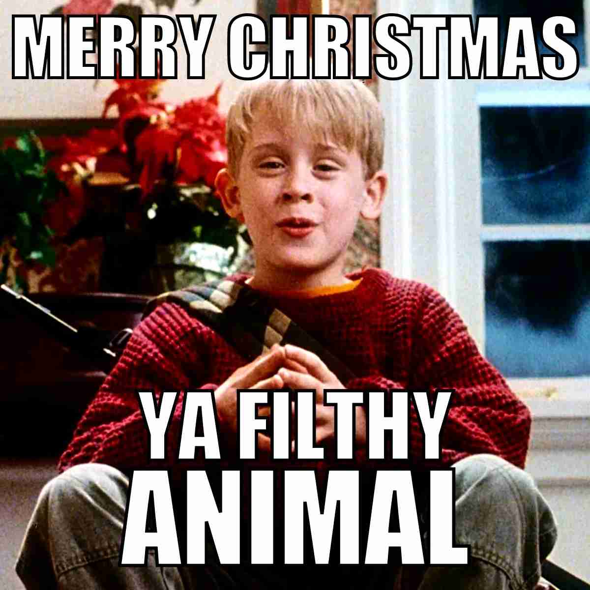 Hilarious Merry Christmas Memes: 50 Cheerful Holiday Images!