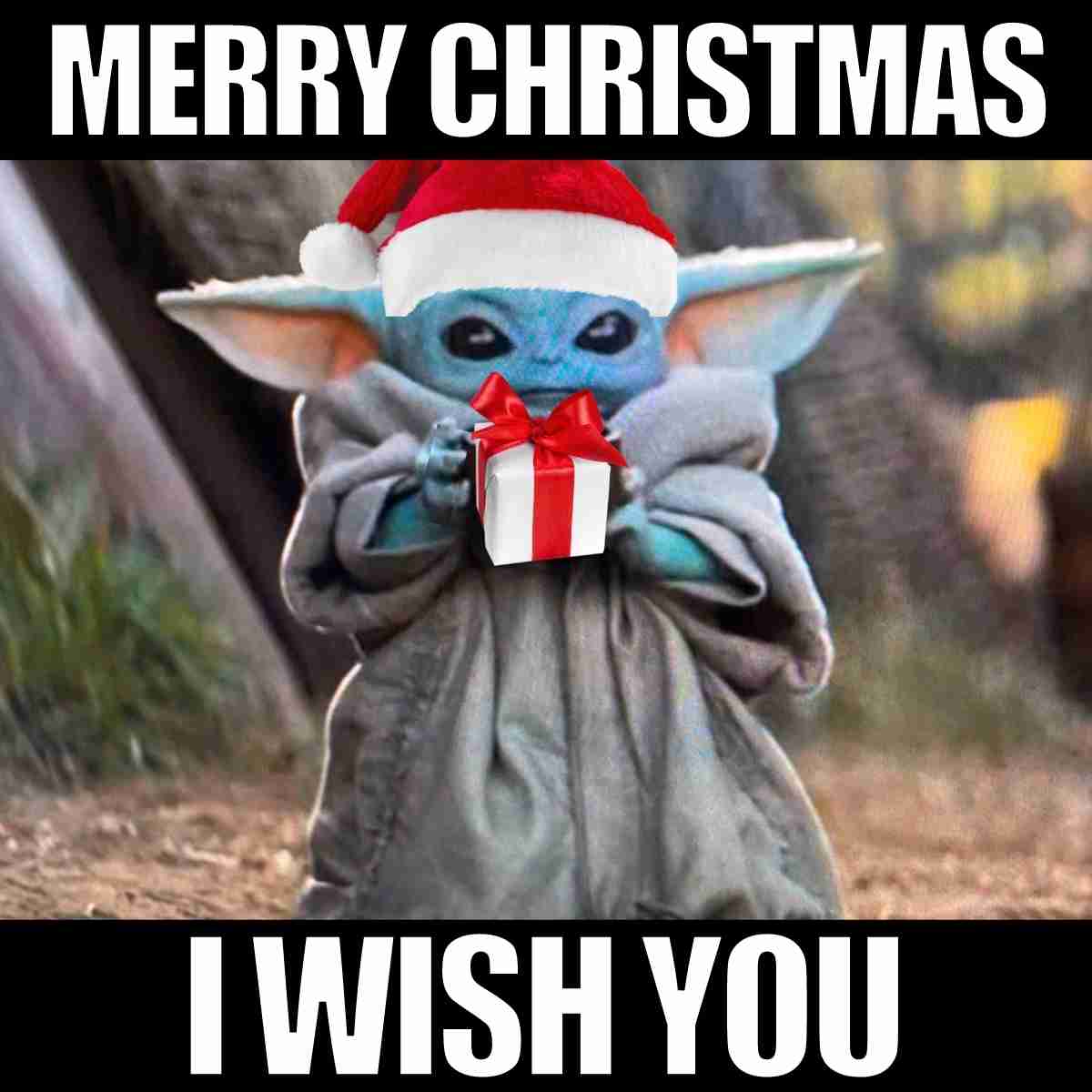 Hilarious Merry Christmas Memes: 50 Cheerful Holiday Images!