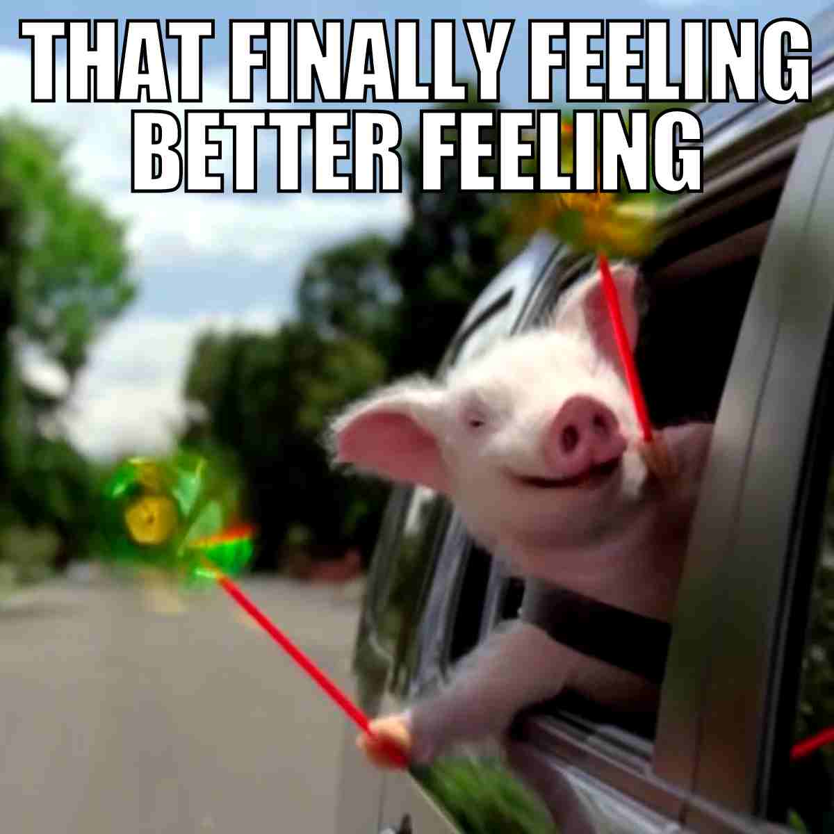 25 Best Sick Memes: A Hilarious Prescription For Laughter!