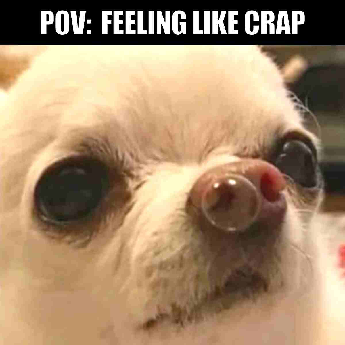 25 Best Sick Memes: A Hilarious Prescription For Laughter!