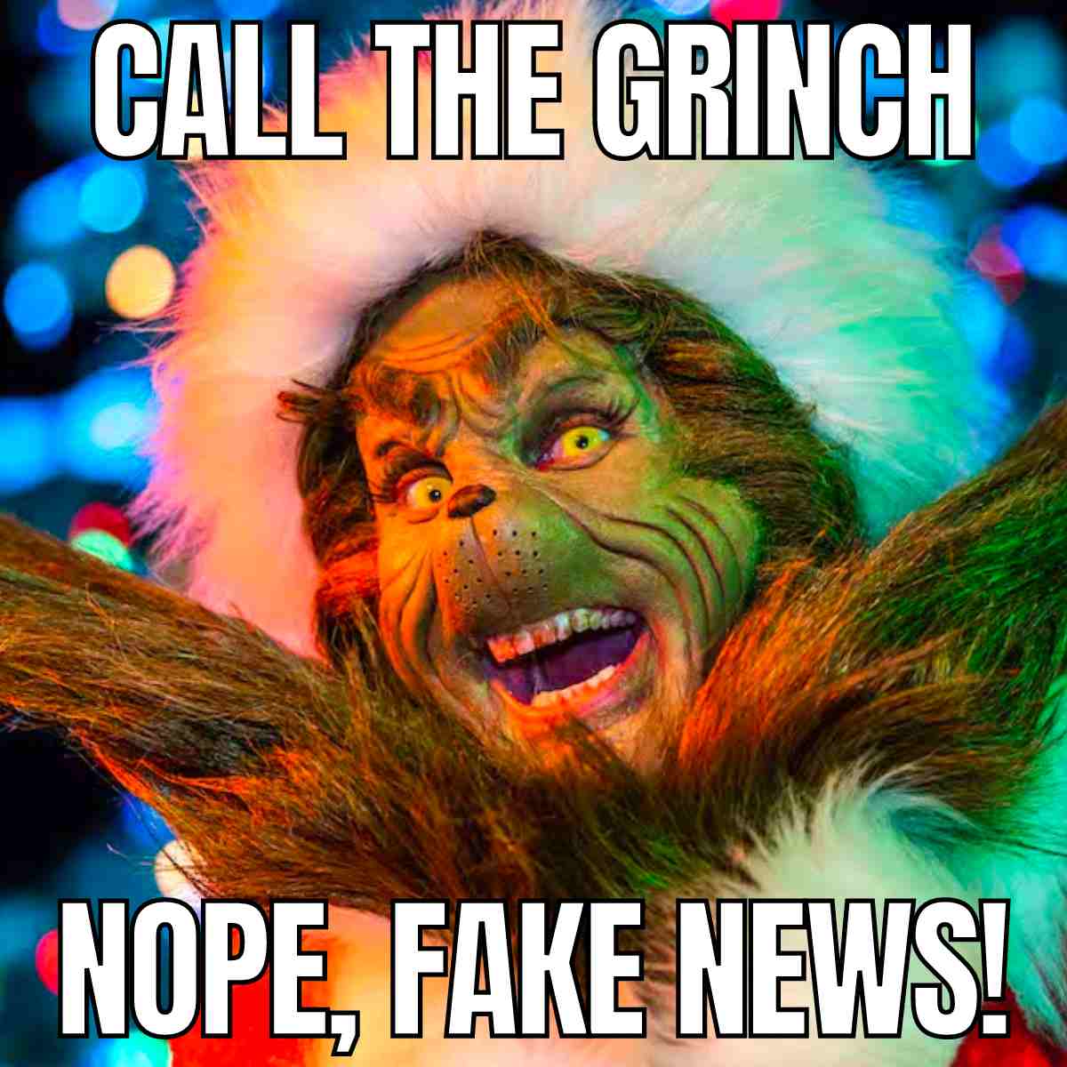 25 Hilarious Grinch Memes: For When You Feel The Holiday Grump