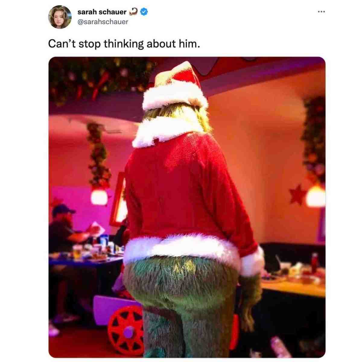 25 Hilarious Grinch Memes: For When You Feel The Holiday Grump