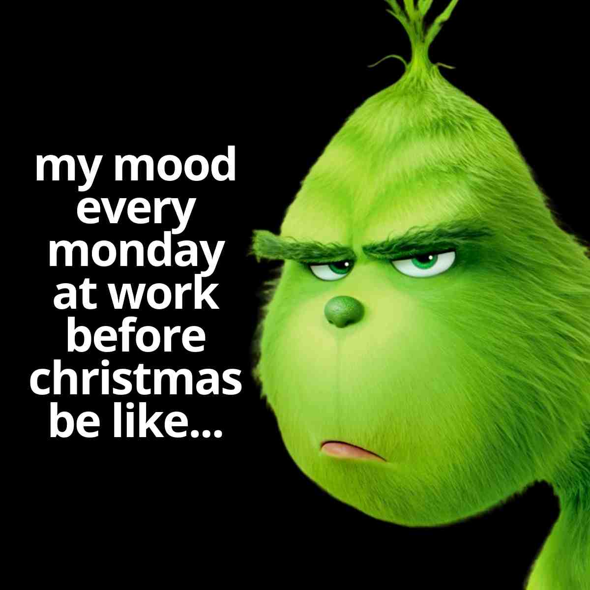 25 Hilarious Grinch Memes: For When You Feel The Holiday Grump
