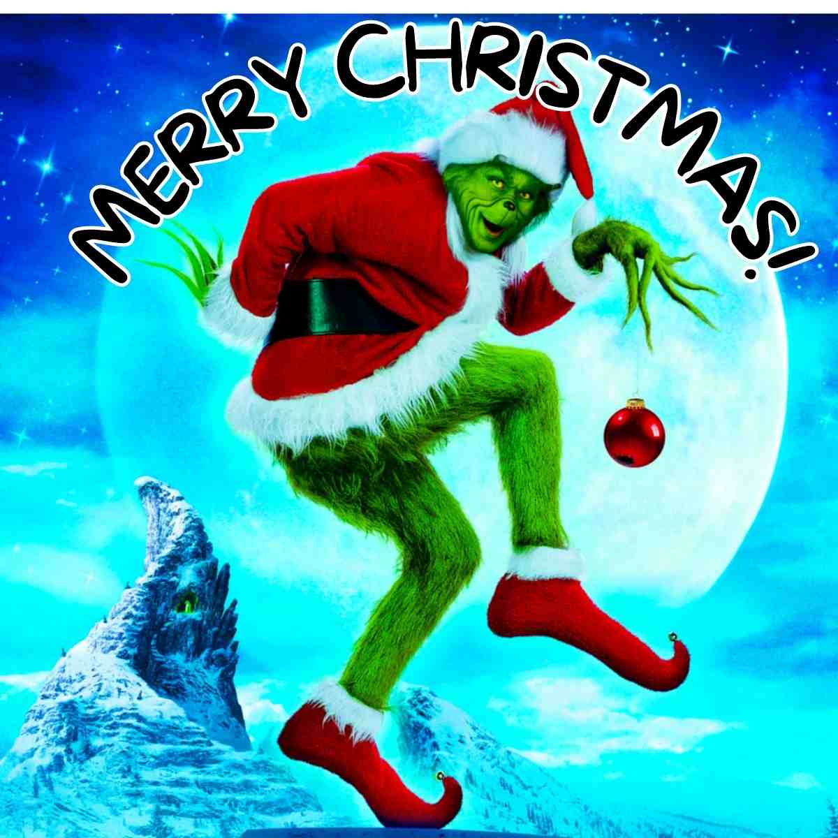 25 Hilarious Grinch Memes: For When You Feel The Holiday Grump