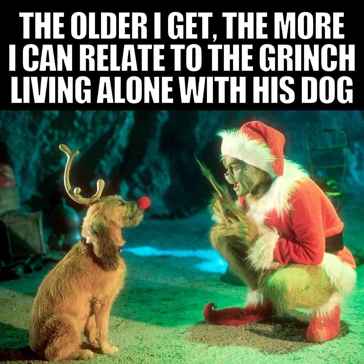 25 Hilarious Grinch Memes: For When You Feel The Holiday Grump