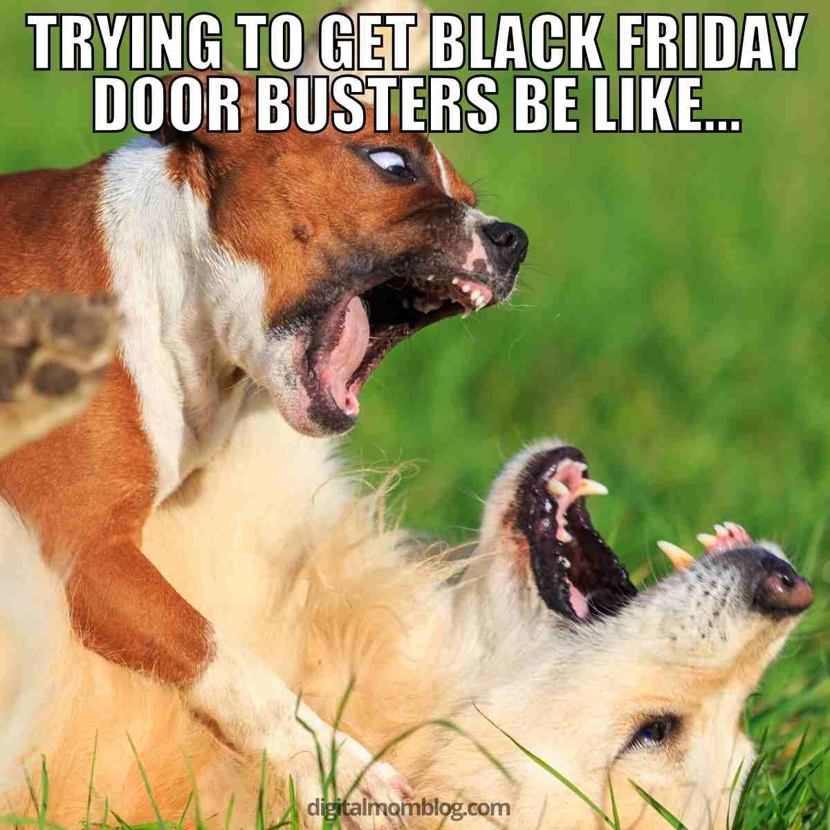 25 Fun Black Friday Memes To Make You LOL (While You Shop)