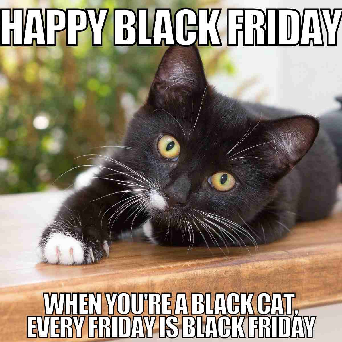 25 Fun Black Friday Memes To Make You LOL (While You Shop)