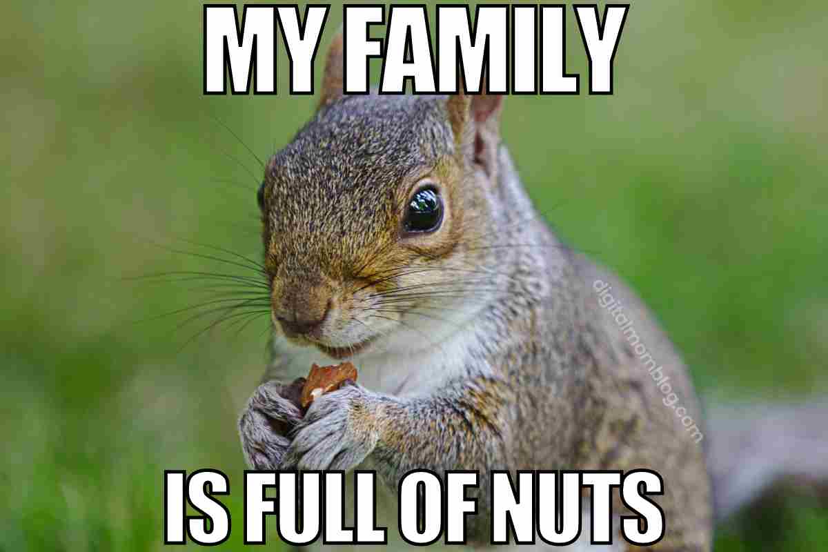 50 Hilarious Family Memes To Share In The Fam Group Chat