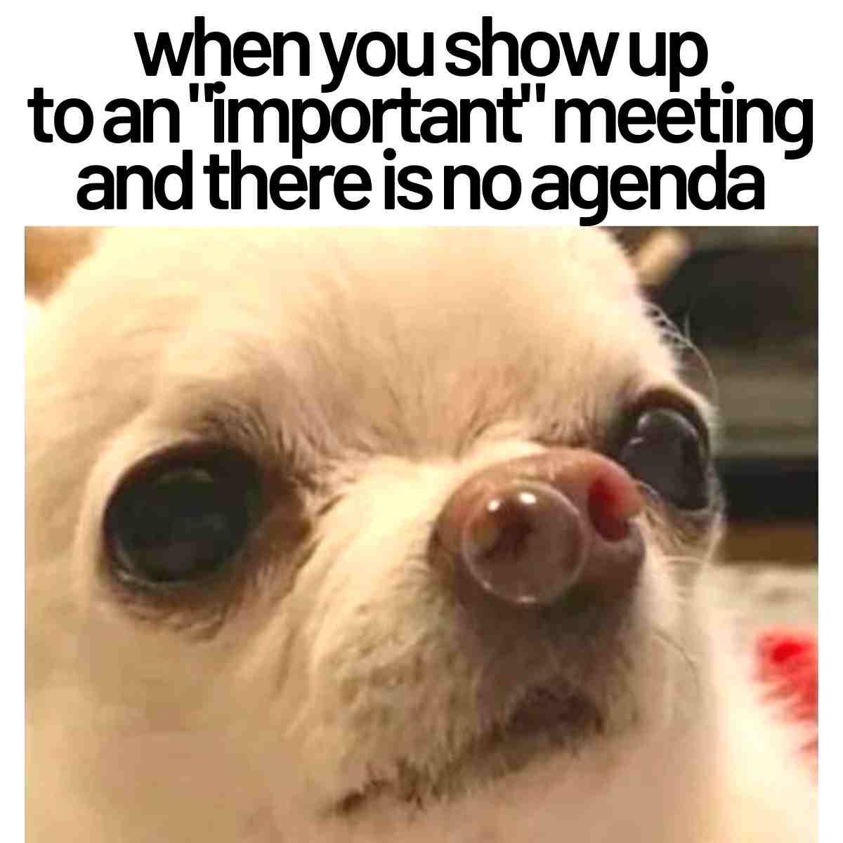 65 Funny Meeting Memes To Add Humor To The Workplace Agenda