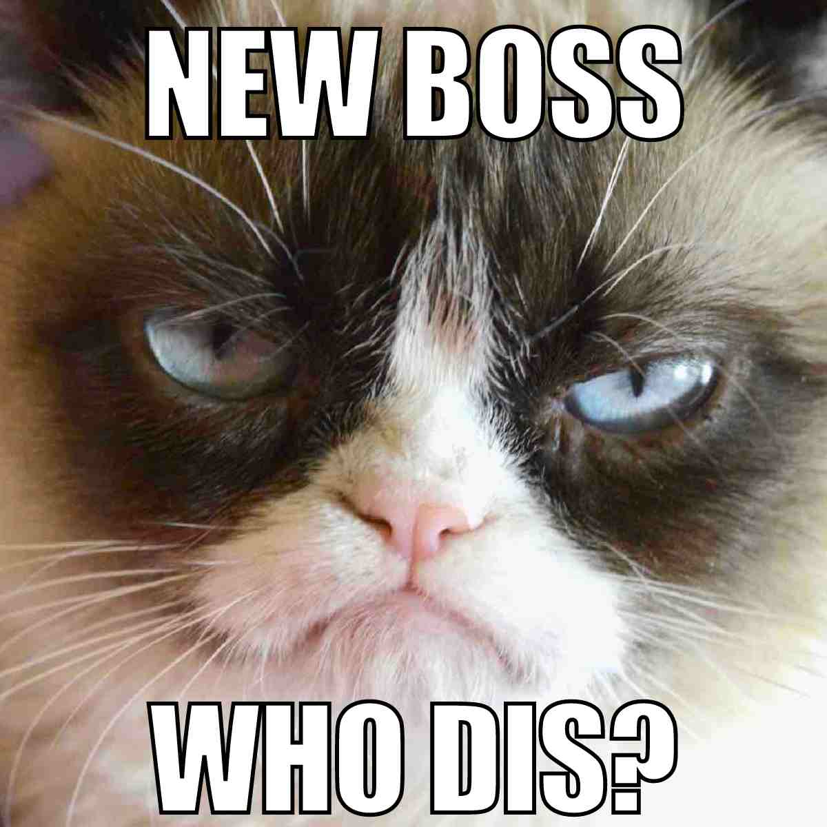 25 Funny Boss Memes That Every Employee Will Love