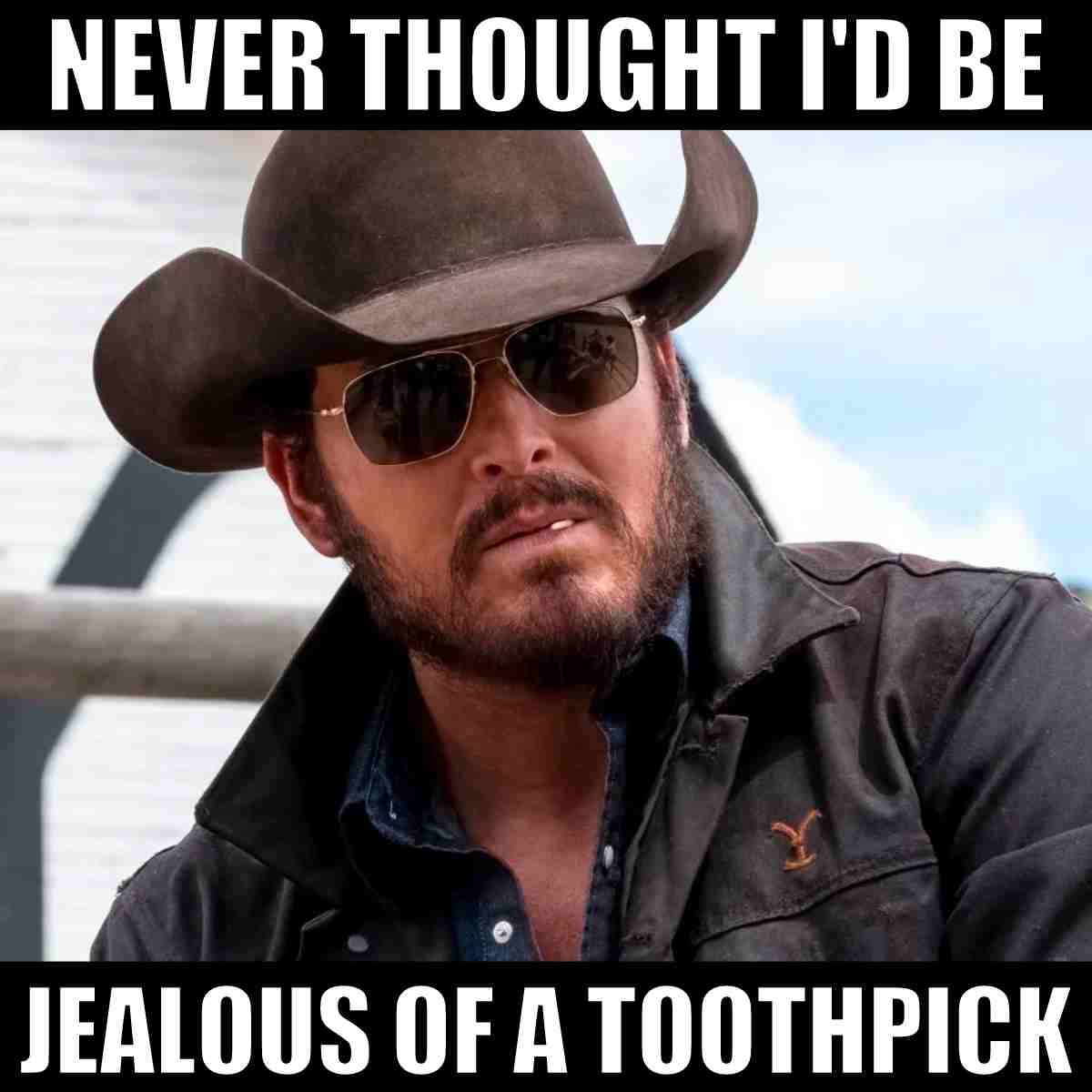 20 Hilarious Yellowstone Memes: Saddle Up For Laughs