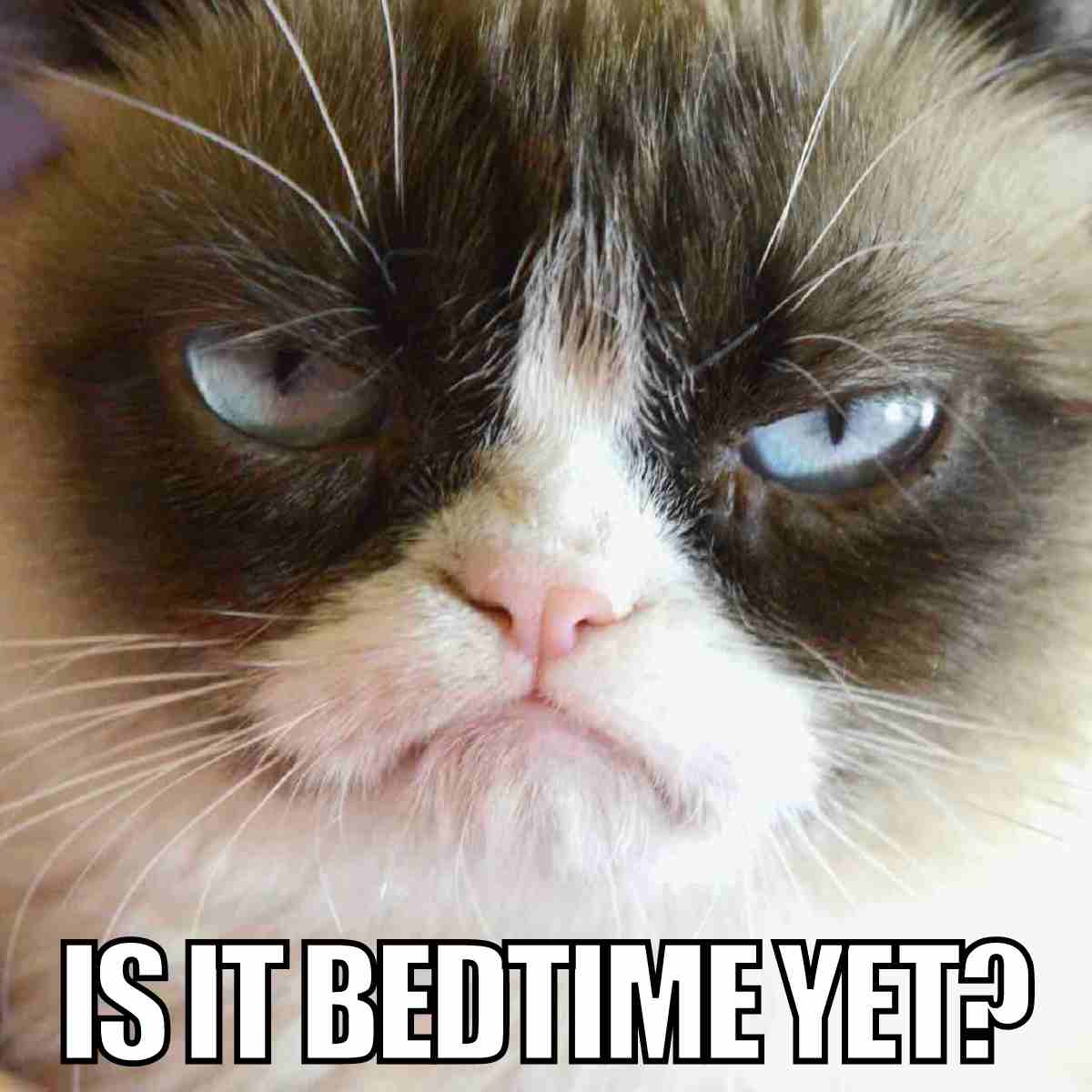 51 Hilarious Toddler Memes Every Tot Parent Can Relate To