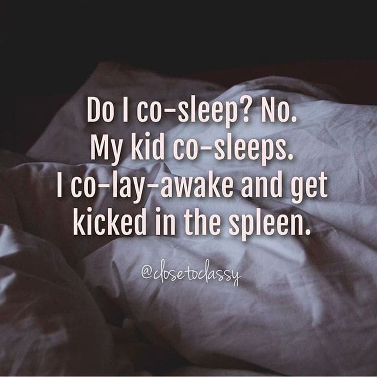 51 Hilarious Toddler Memes Every Tot Parent Can Relate To