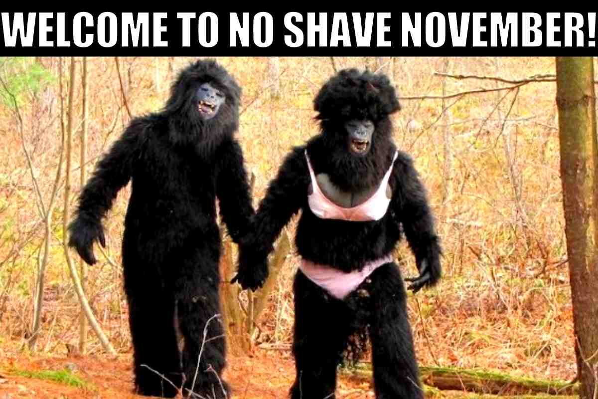 November Memes 2024: Thanksgiving, Sweaters, And Laughs