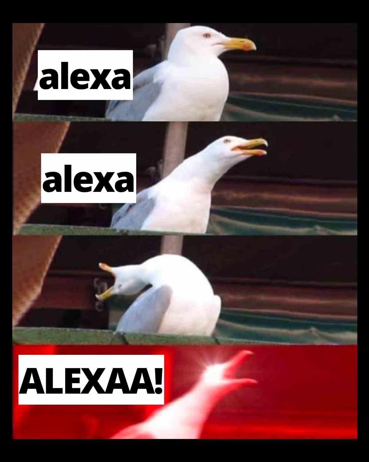 20 Funny Alexa Memes About The Popular Amazon Personality