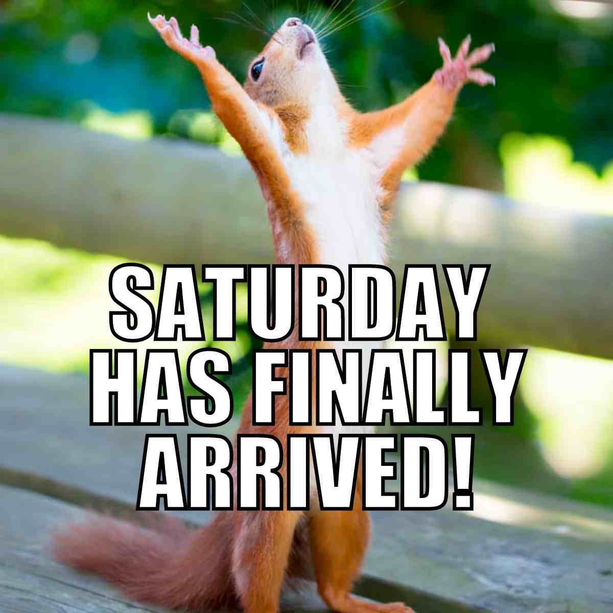 50 Awesome Saturday Memes To Supercharge Your Weekend Vibes