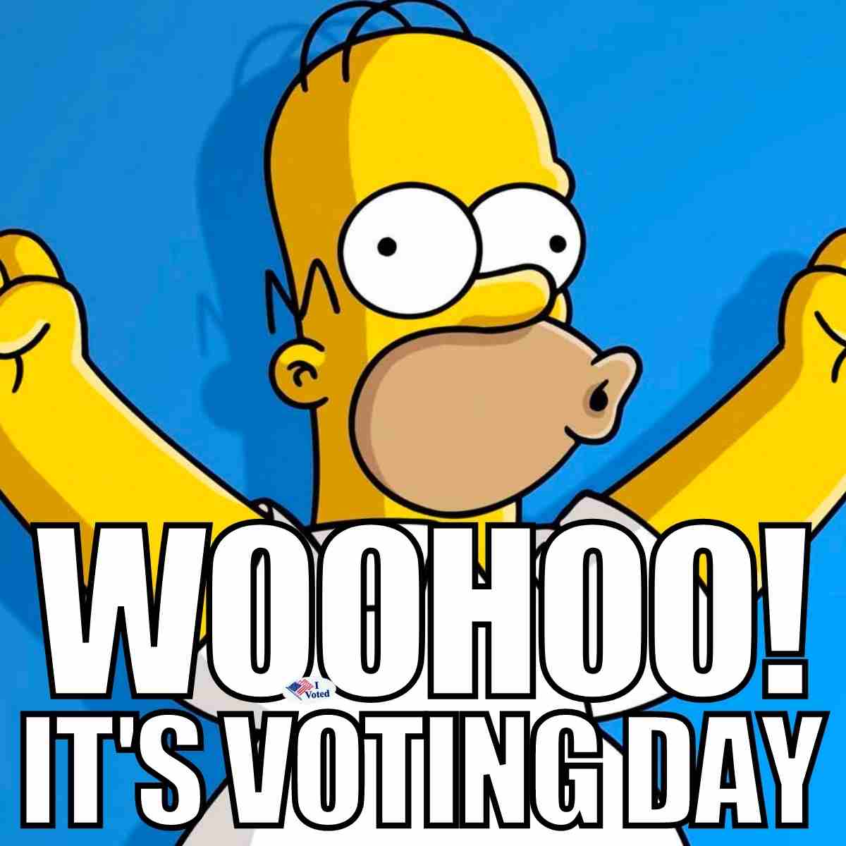 Best Vote Memes 2024: Using Humor To Encourage Voting