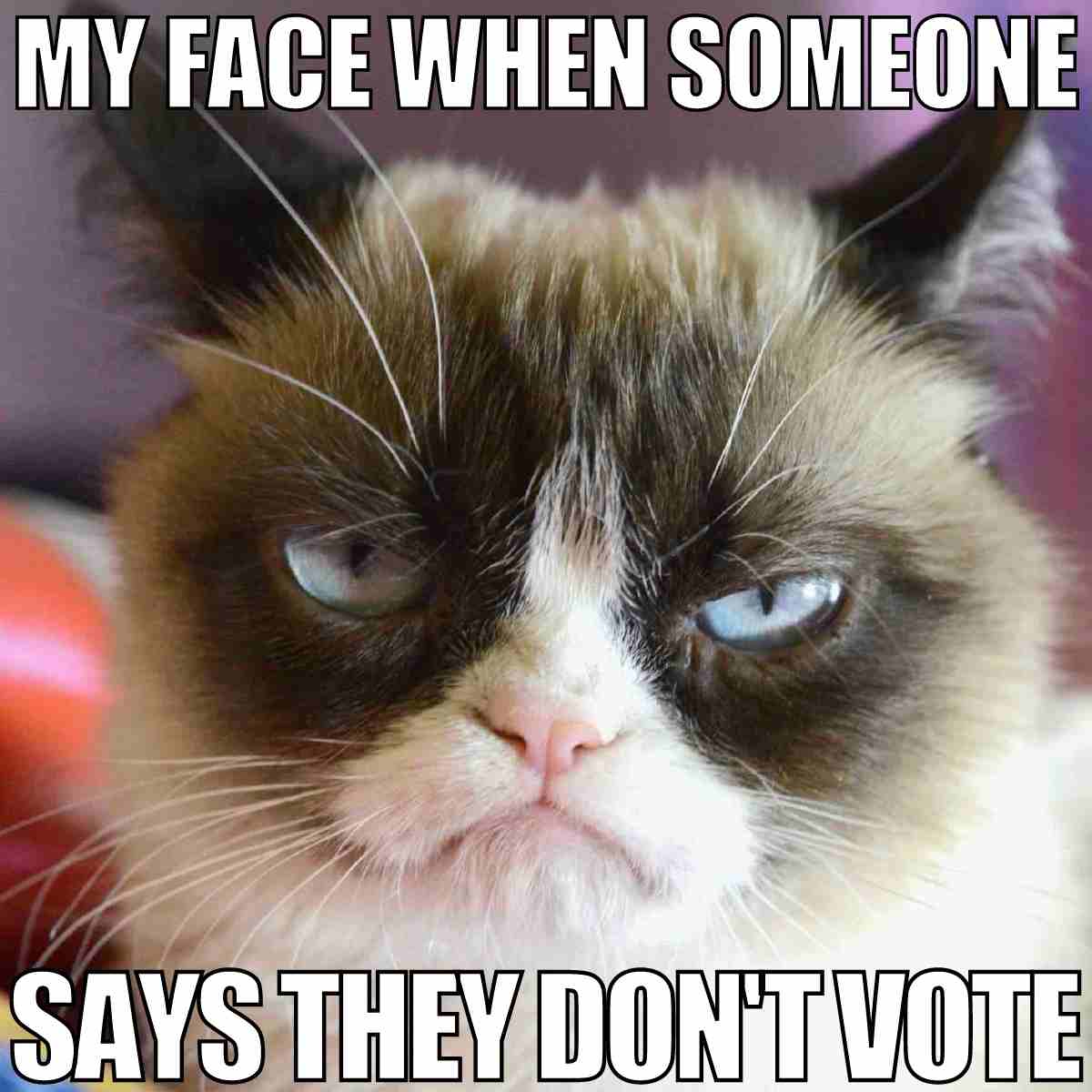 Best Vote Memes 2024: Using Humor To Encourage Voting