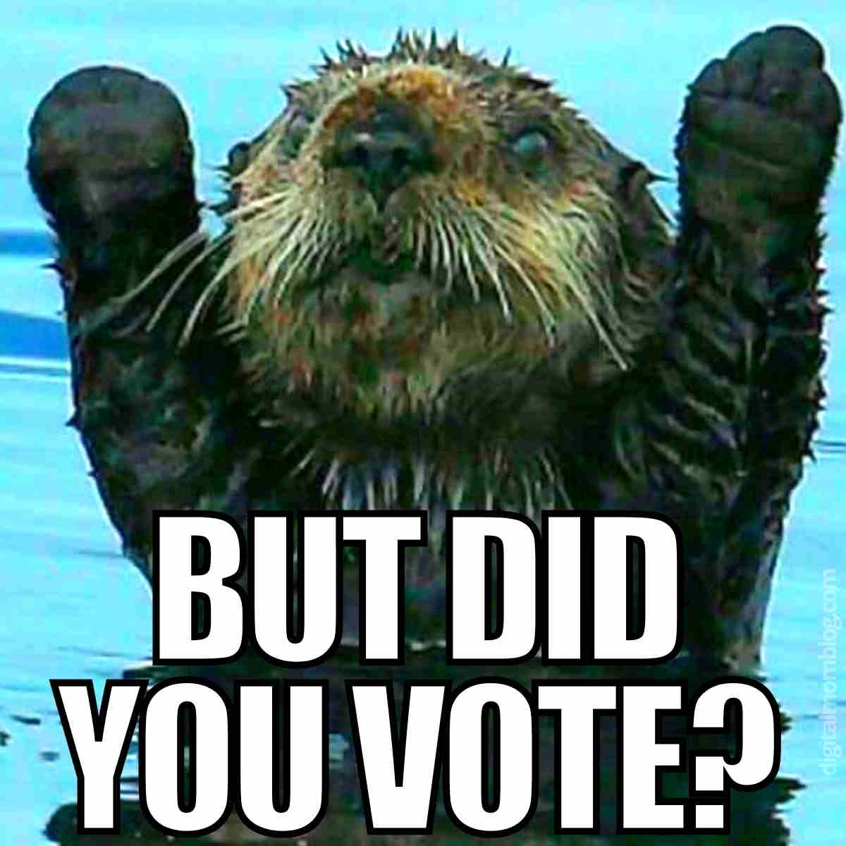 Best Vote Memes 2024: Using Humor To Encourage Voting