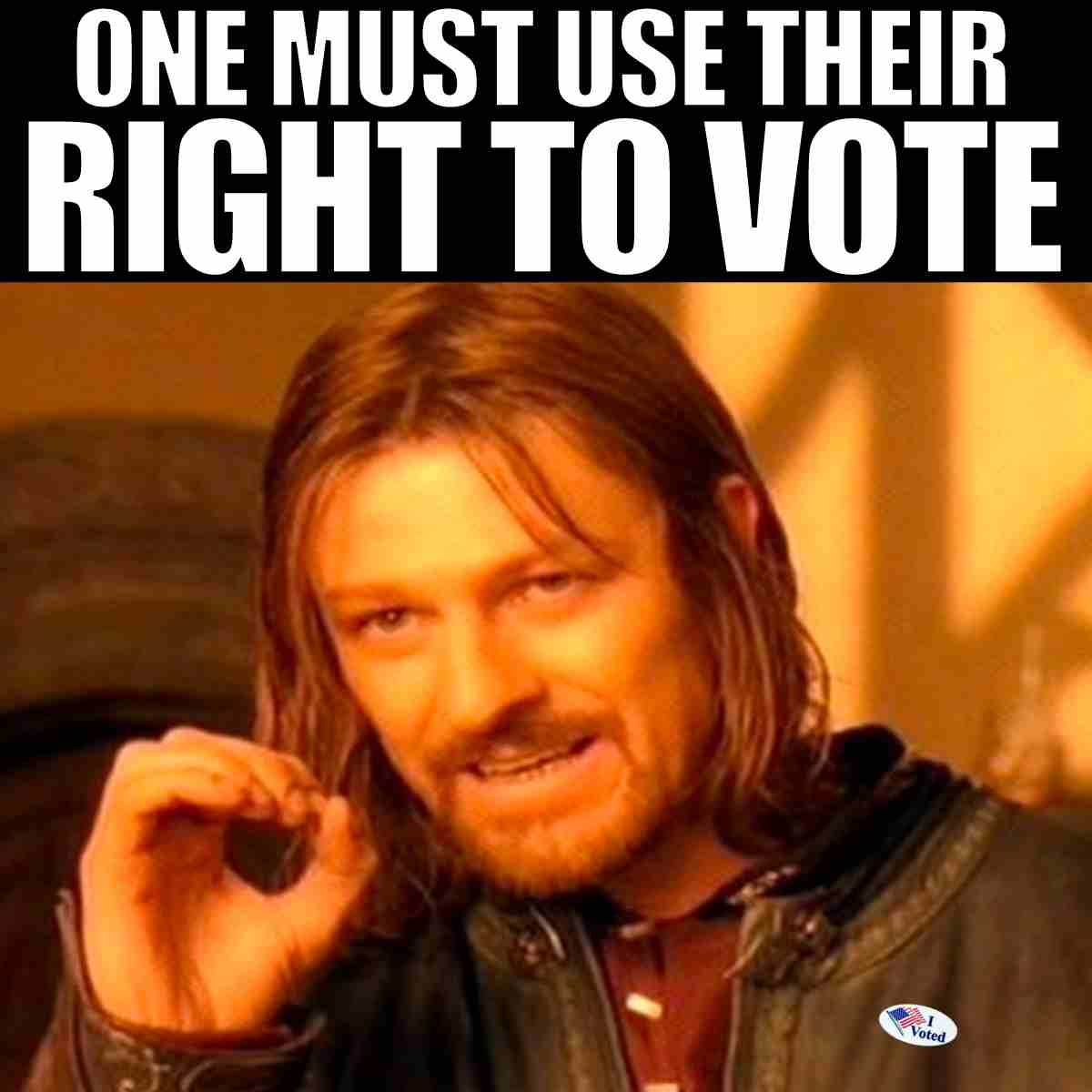 Best Vote Memes 2024: Using Humor To Encourage Voting