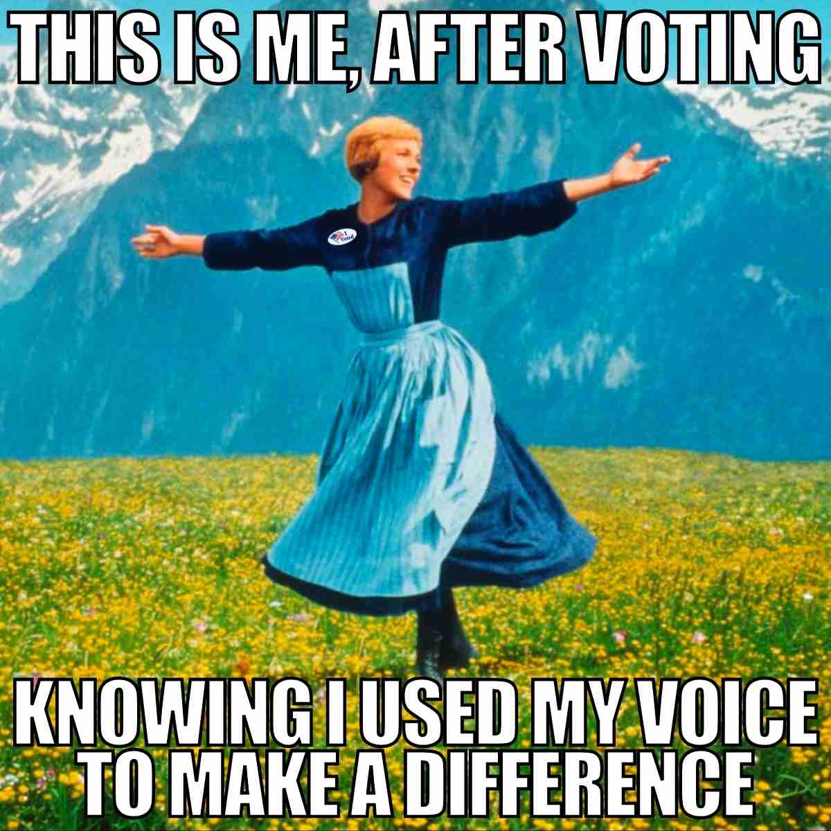 Best Vote Memes 2024: Using Humor To Encourage Voting