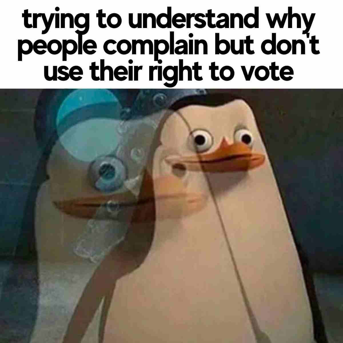 Best Vote Memes 2024: Using Humor To Encourage Voting