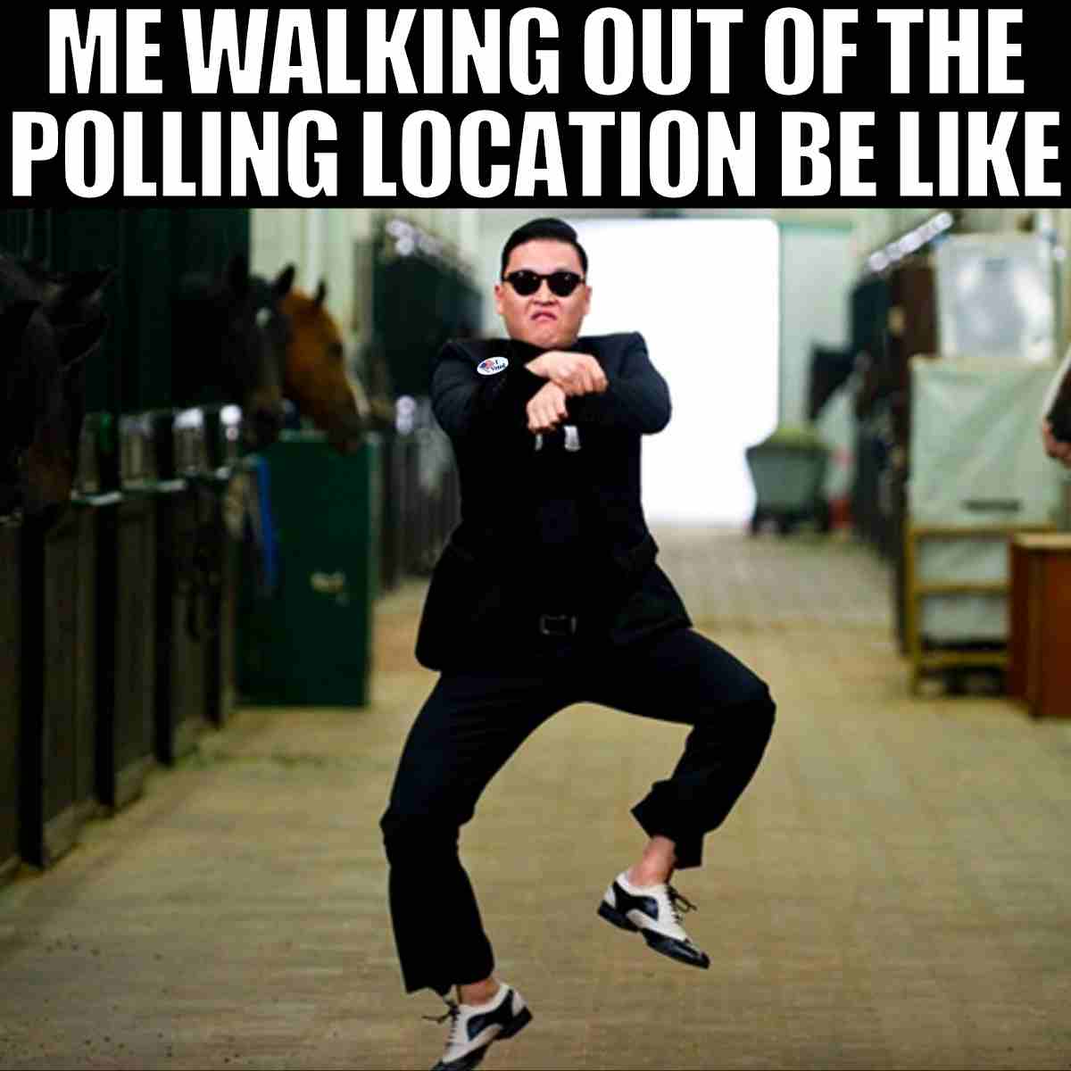 Best Vote Memes 2024: Using Humor To Encourage Voting