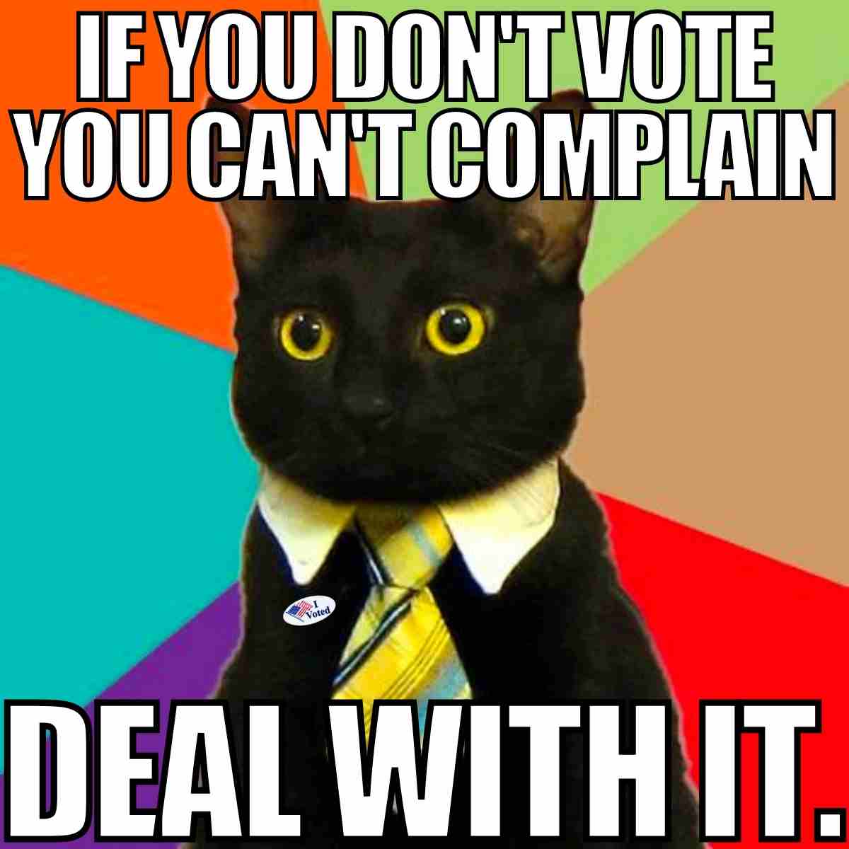 Best Vote Memes 2024: Using Humor To Encourage Voting