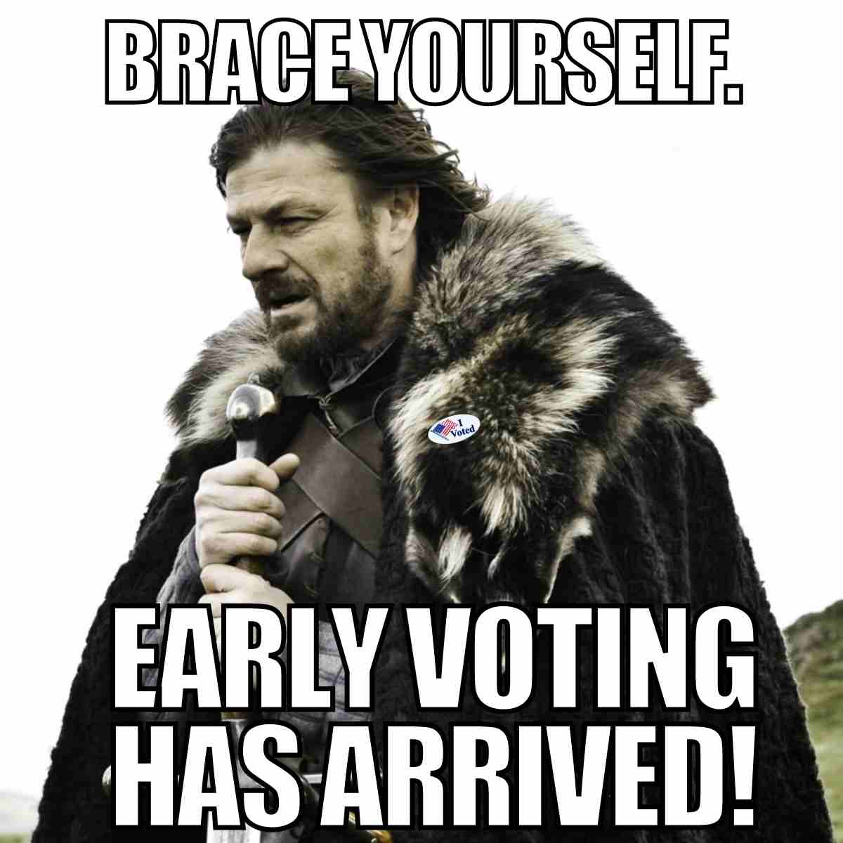 Best Vote Memes 2024: Using Humor To Encourage Voting