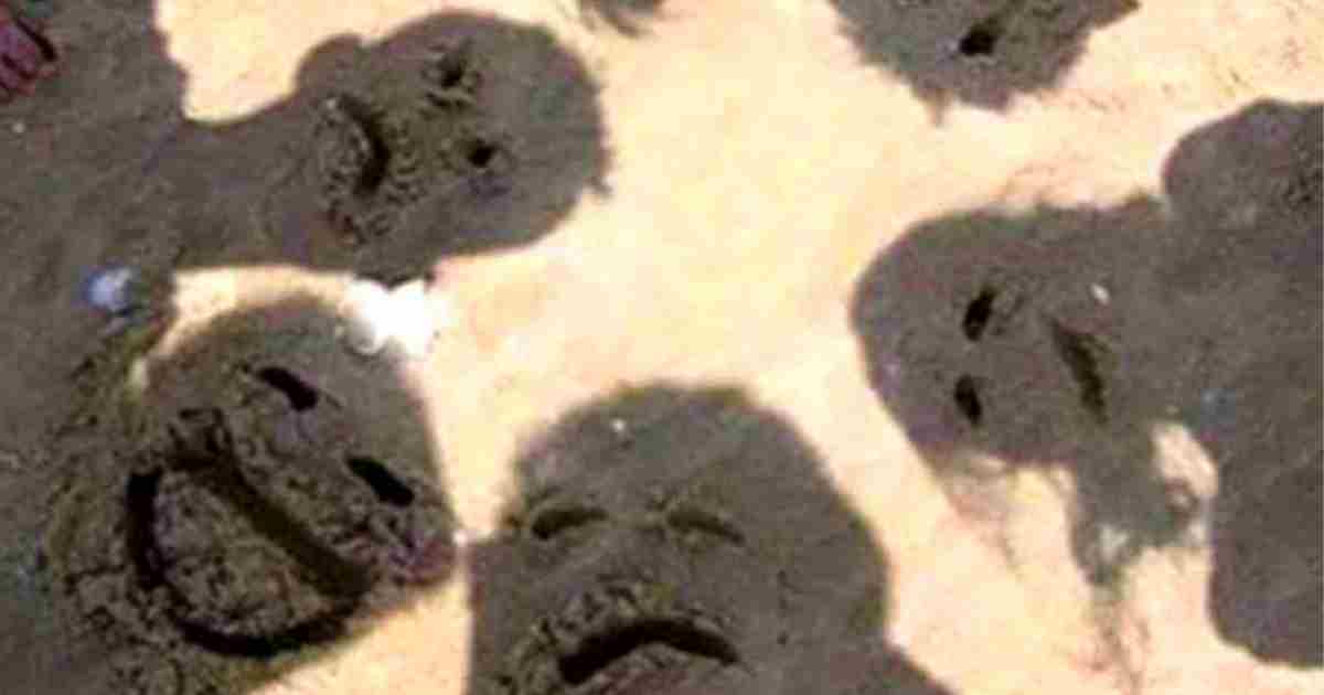 Top 20 Beach Memes That Perfectly Capture Your Summer Vibes