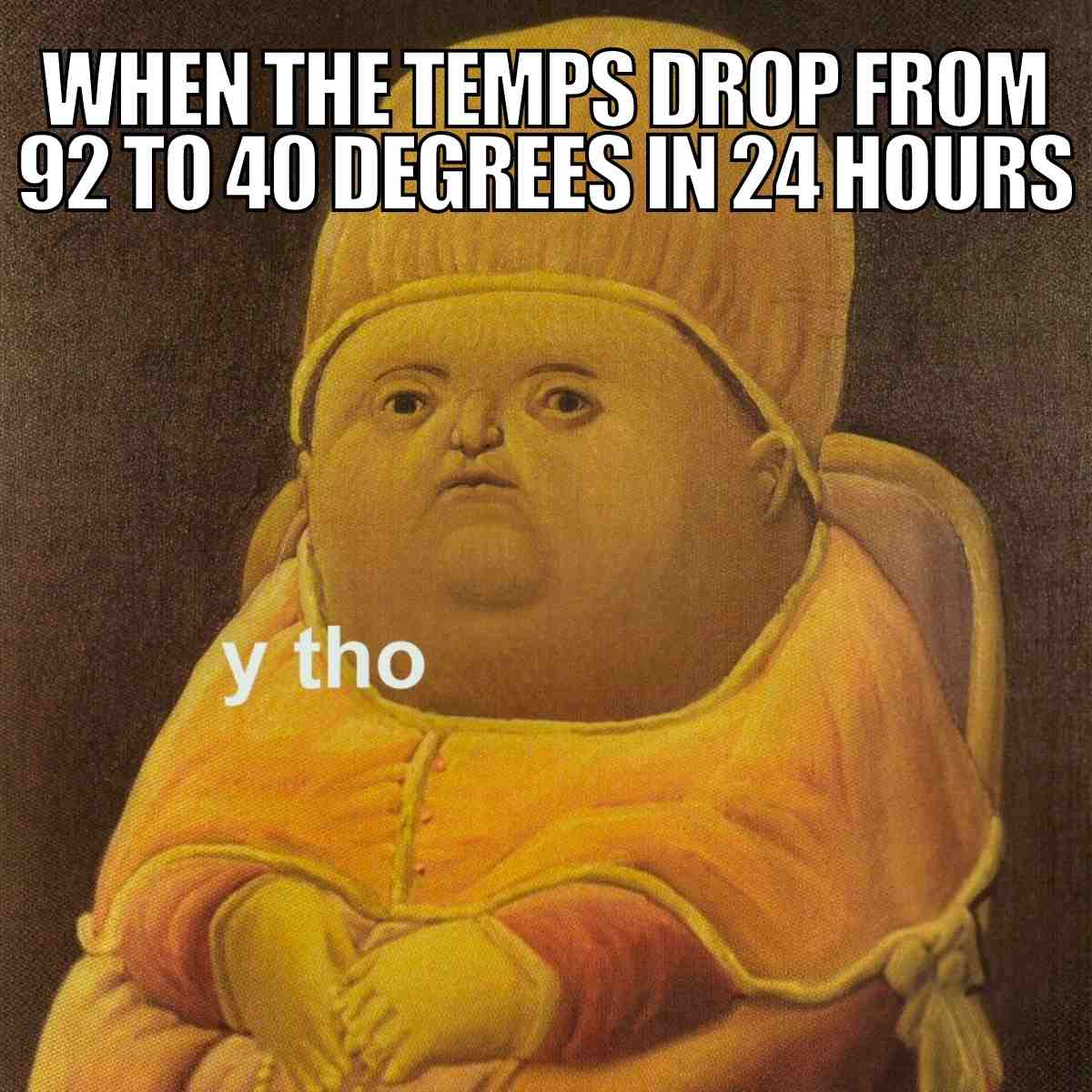 20 Hilarious Cold Weather Memes To Warm Your Heart And Feed