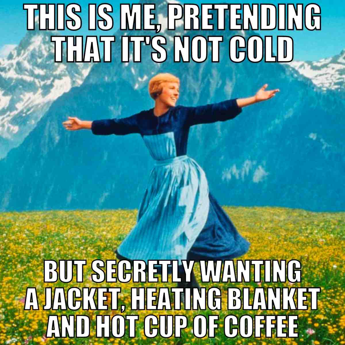 20 Hilarious Cold Weather Memes To Warm Your Heart And Feed