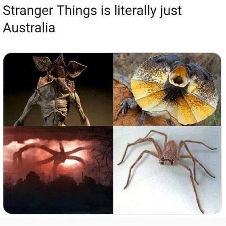 75 Stranger Things Memes That Perfectly Sum Up The Show